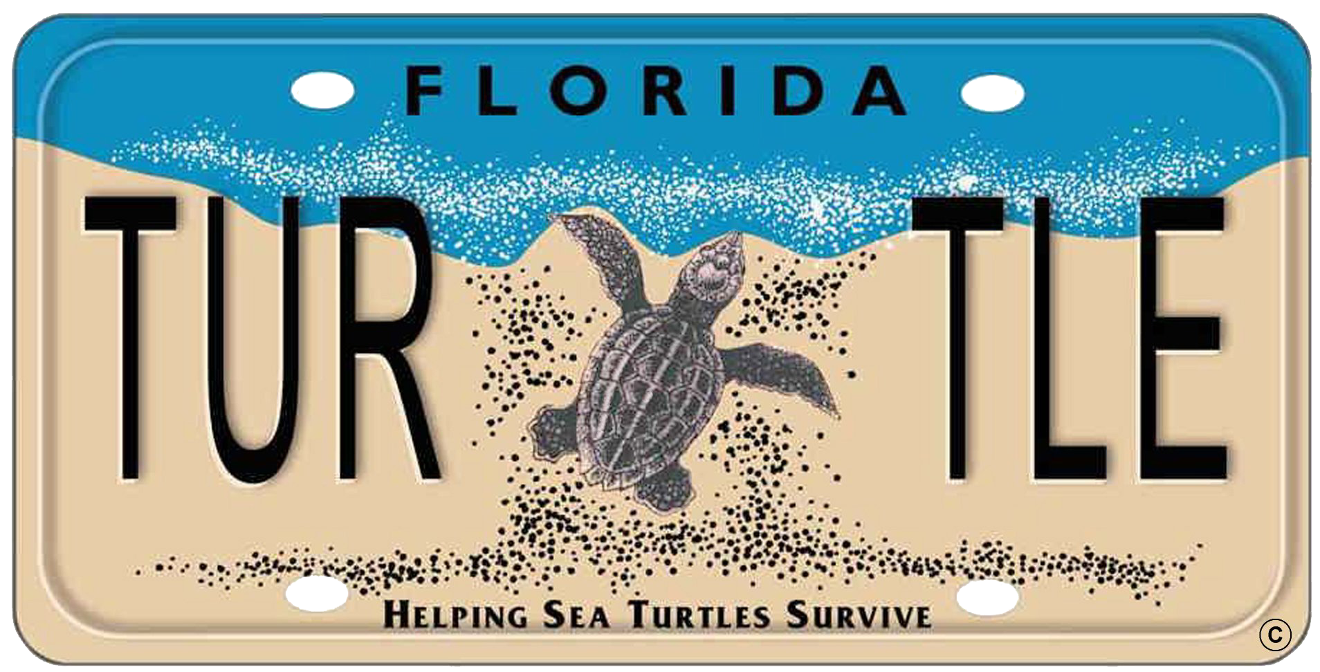 Toad - Marinelife Turtle Tracker